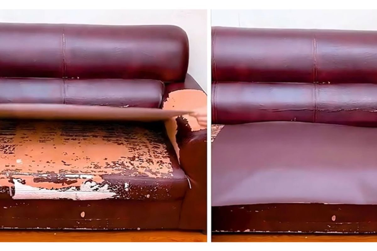 A Comprehensive Guide to Leather Sofa Repairing: Tips and Techniques ...